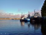 Jetty  (Leningrad Region, Kirovskiy District, Shlisselburg), i̇skele  Shlisselburg'dan