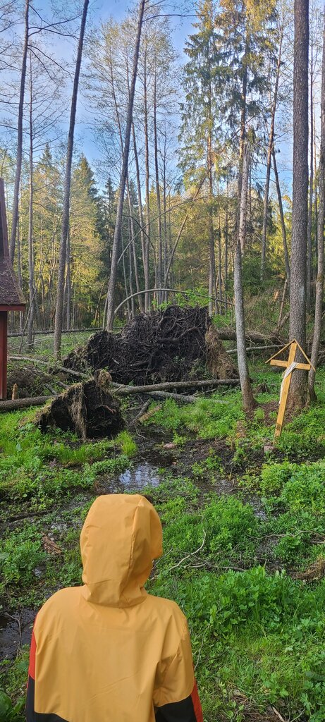 Pınar, çay Каскад крыниц, Mogiliovskaya oblastı, foto