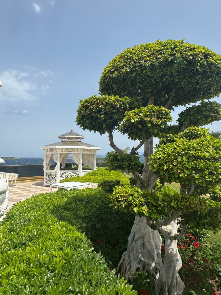 Plaj The Plaza Bodrum Otel Plajı, Bodrum, foto