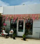 MaryRose Flowers (Armavir Region, Village of Sardarapat, Khachatur Abovyan Street), çiçekçiler  Armavir'den