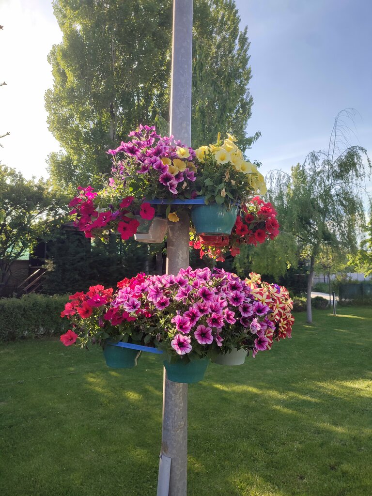 Düğün mağazası Çinar Bahçe Restaurant, Afyonkarahisar, foto