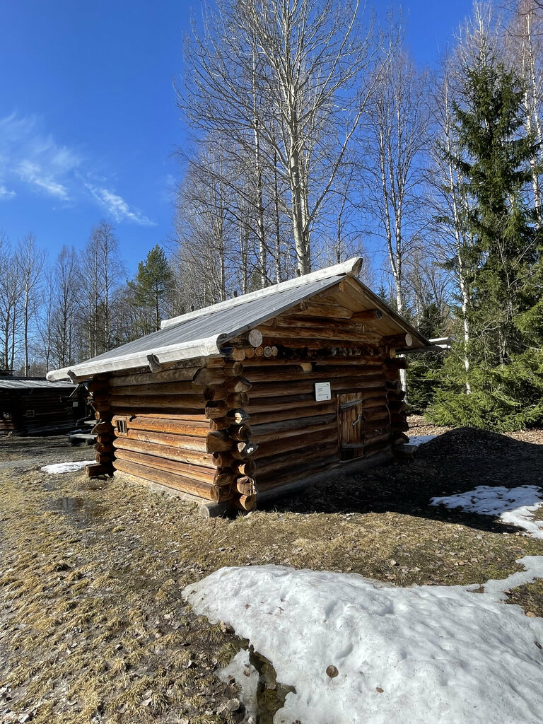 Turistik yerler Изба В.П. Толстикова, Arhangelskaya oblastı, foto