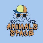 Animals Space (No:72, Leninskiy City Administrative District, mikrorayon Gorskiy), evcil hayvan kuaförleri  Novosibirsk'ten