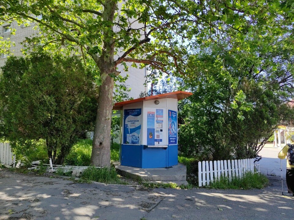 Su satışı Маркотхский ключ, Gelencik, foto