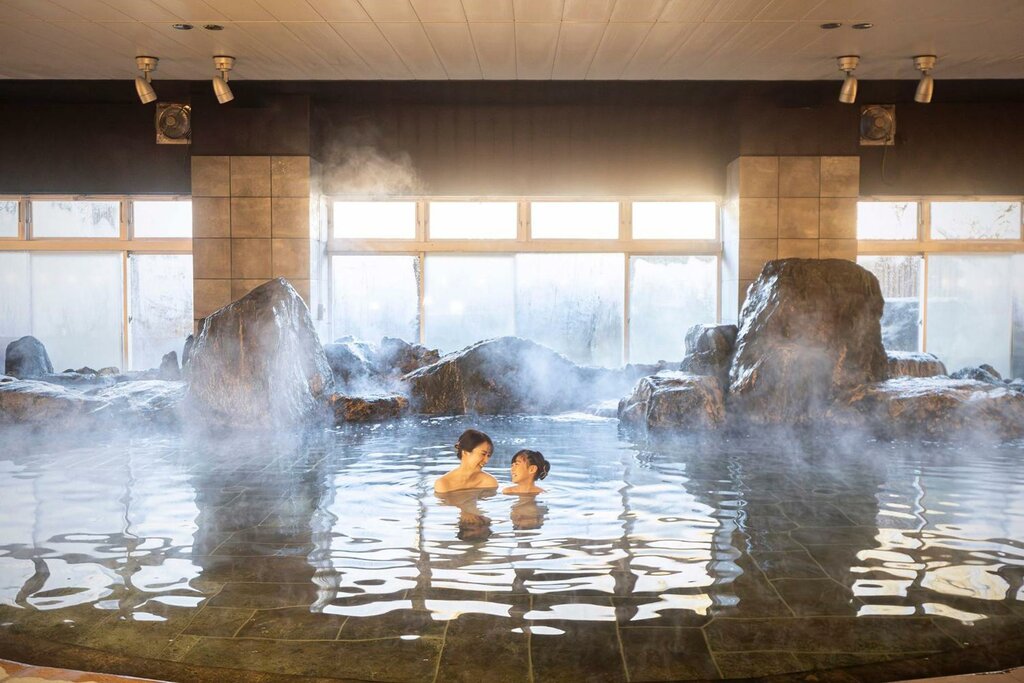 Otel Hotel New Shiobara, , foto