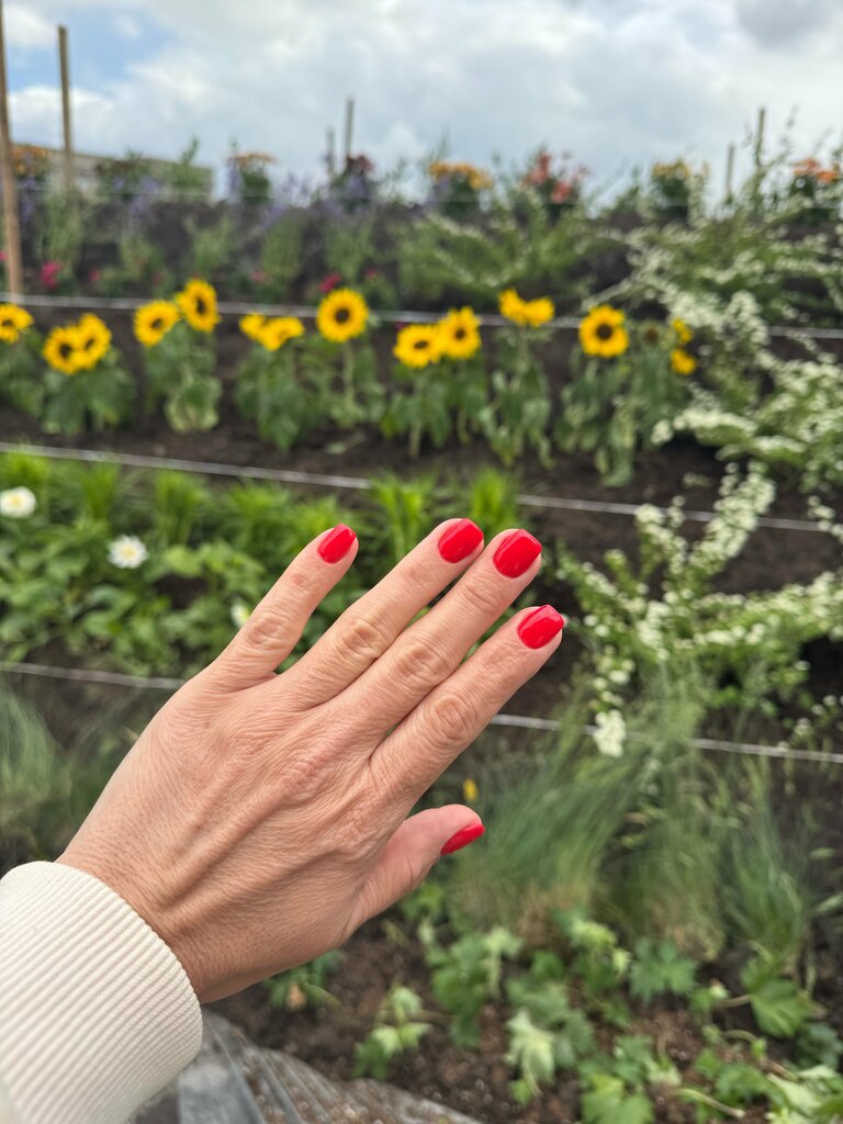 Manikür-pedikür Margo_pudra, Saint‑Petersburg, foto