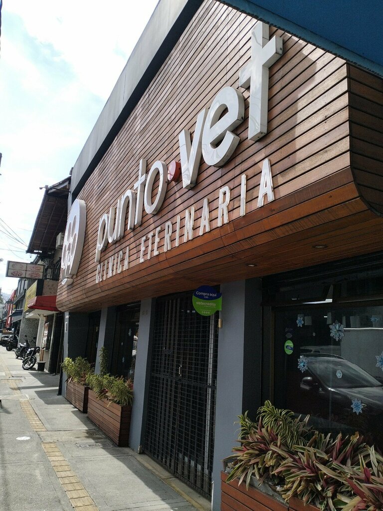 Veteriner klinikleri Punto Vet, Medellin, foto