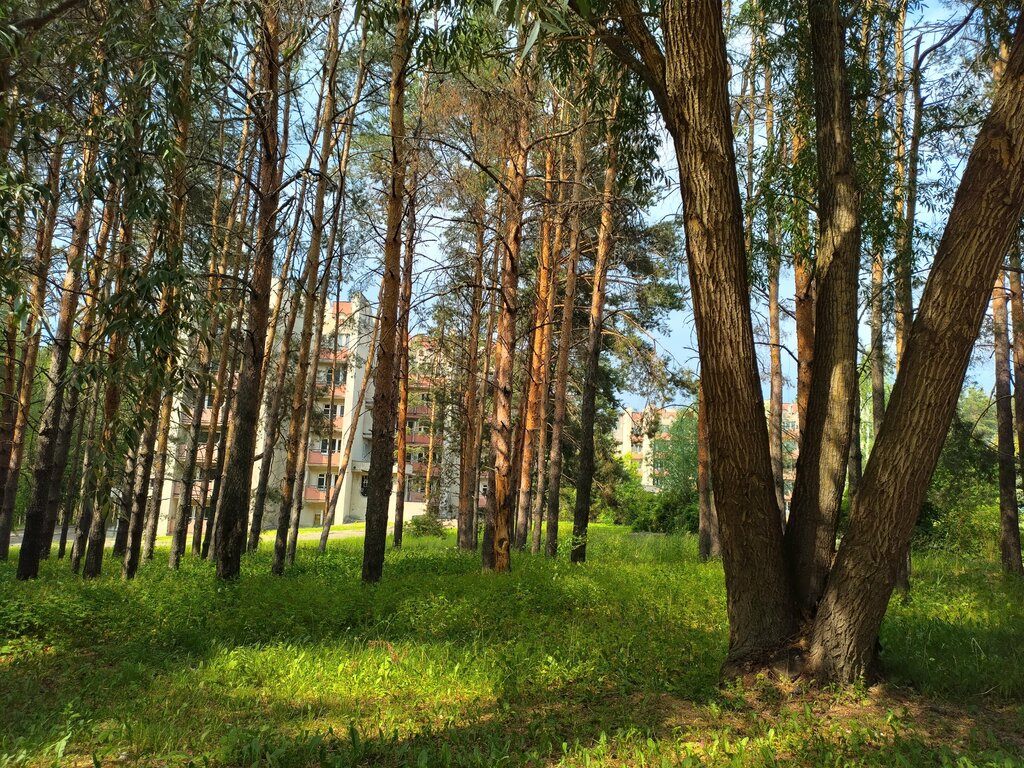 Resort oteller, tesisler Татинец, Nijegorodskaya oblastı, foto