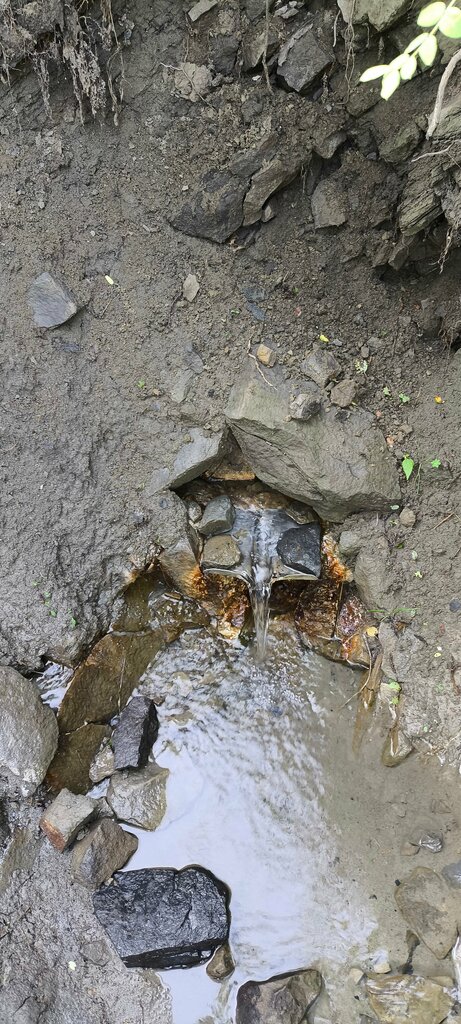 Pınar, çay Spring, stream, Novokuznetsk, foto