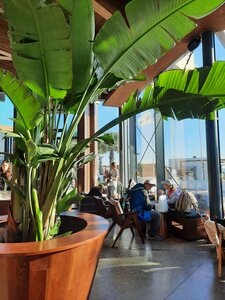 Surf Coffee X Grand Riviera (Rivyerskaya Lane No:5, Tsentralniy Microdistrict), kahve dükkanları  Soçi'den