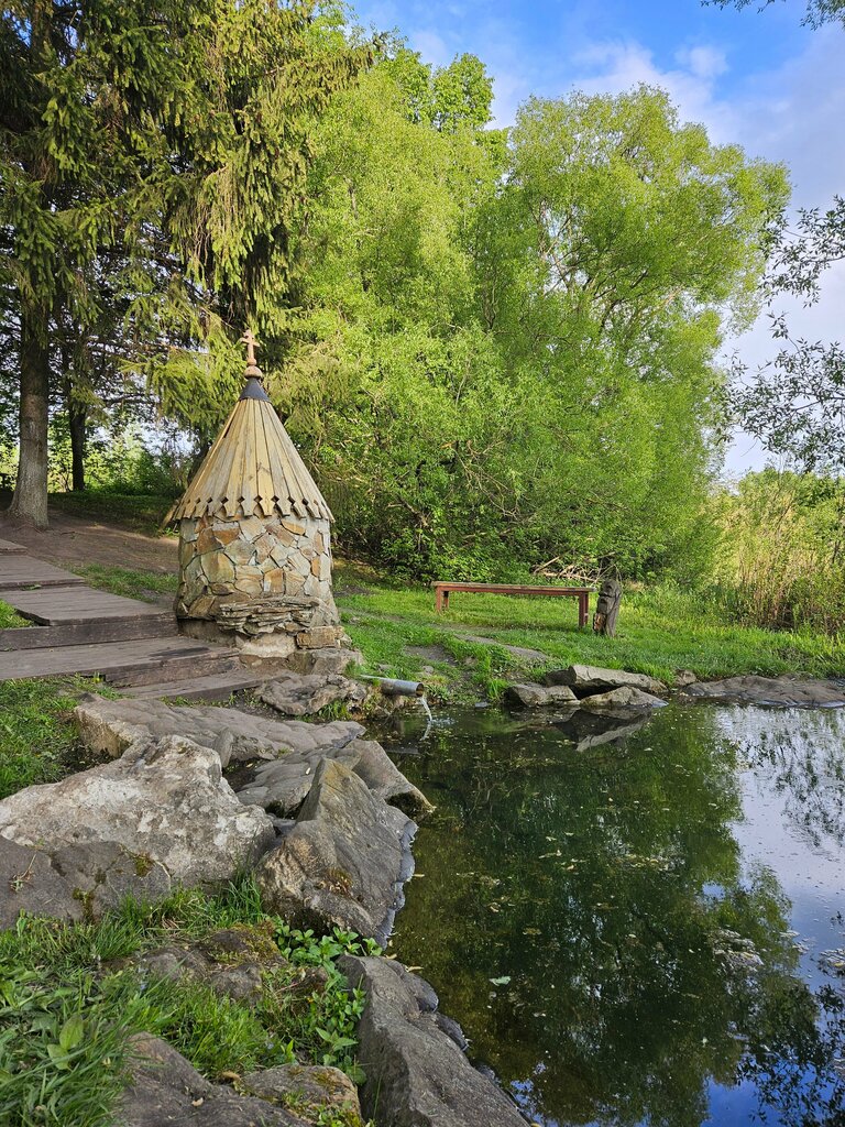 Pınar, çay Исток реки Оки, Orlovskaya oblastı, foto
