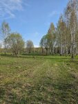 Glamping (Tula Region, Schyokinskiy District, selskoye poseleniye Yasnopolyanskoye), glamping  Tulskaya oblastından