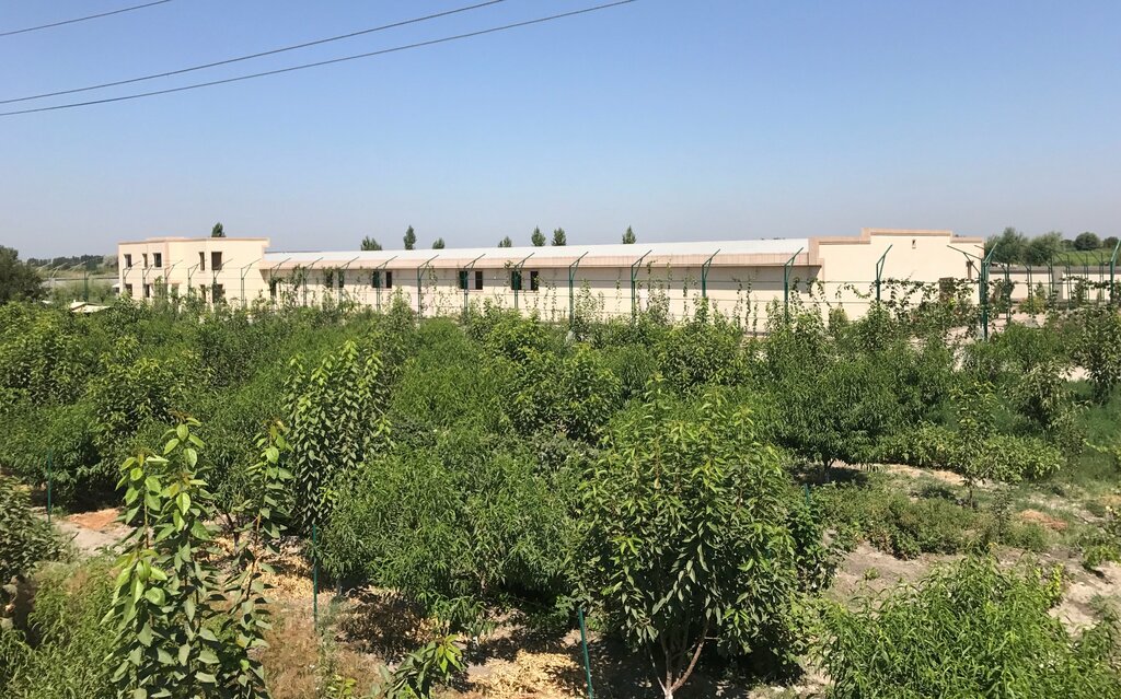 Çorap ürünleri imalatı Eco-Soft Textile, Taşkent eyaleti, foto