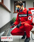 Pestfoni Profesyonel İlaçlama Hizmetleri (Kütahya, Kütahya Merkez , Dumlupınar Mah., Hacı Kebir Sok., 24A), haşere ilaçlama firmaları  Kütahya'dan