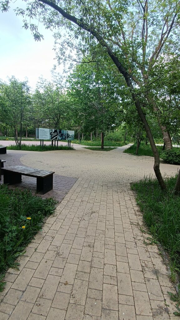 Kültür ve eğlence parkları сквер имени П.И. Пландина, Arzamas, foto