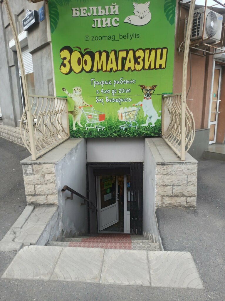 Petshop Белый лис, Vladikavkaz, foto