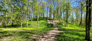 Куртина Парнас (St. Petersburg, Pushkin, gora Parnas), kültür ve eğlence parkları  Puşkin'den