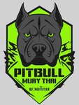 Pitbull (ulitsa Merkuryeva No:7), spor kulüpleri  Saint‑Petersburg'dan