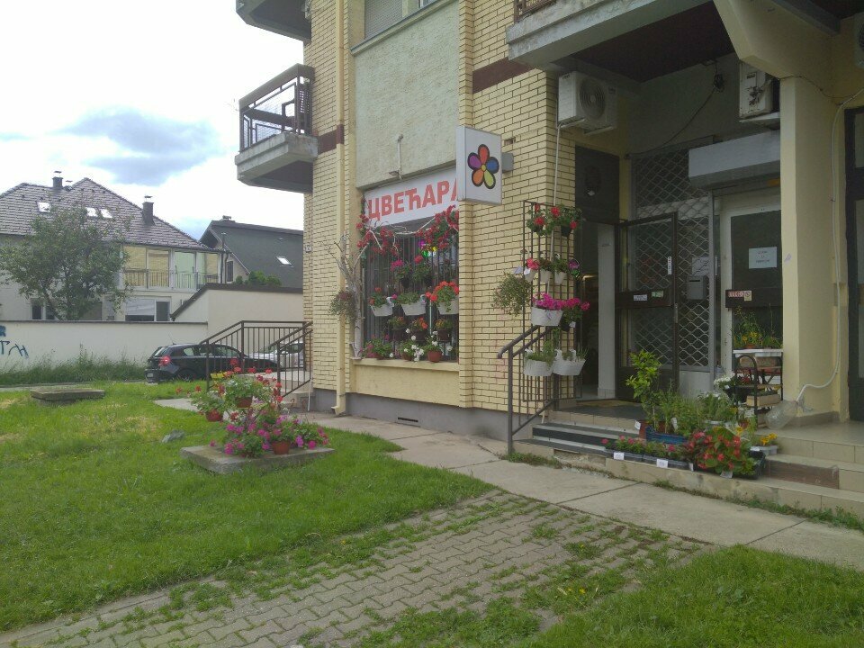 Çiçekçiler Cvećara, Novi Sad, foto