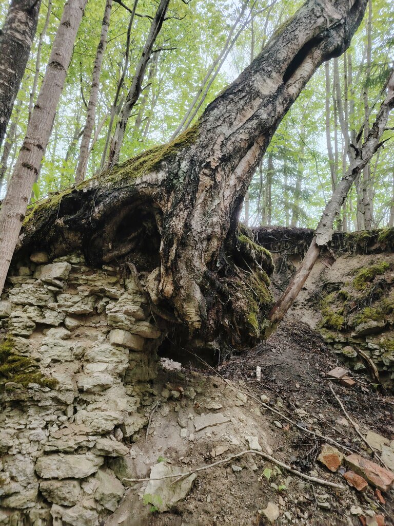 Turistik yerler Печи завода Юнемана, Saint‑Petersburg ve Leningradskaya oblastı, foto