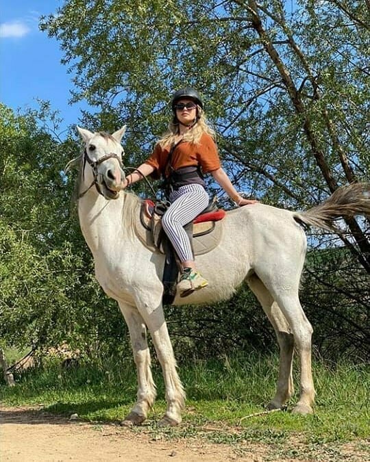 Hayvan barınakları, kulüpleri ve otelleri Safari At Çiftliği, Ankara, foto