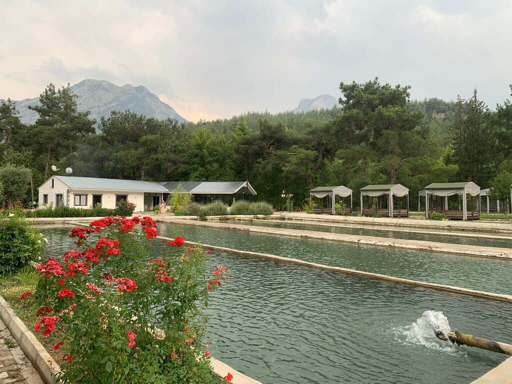 Restoran Aya_gurkavakalabalık, Döşemealtı, foto