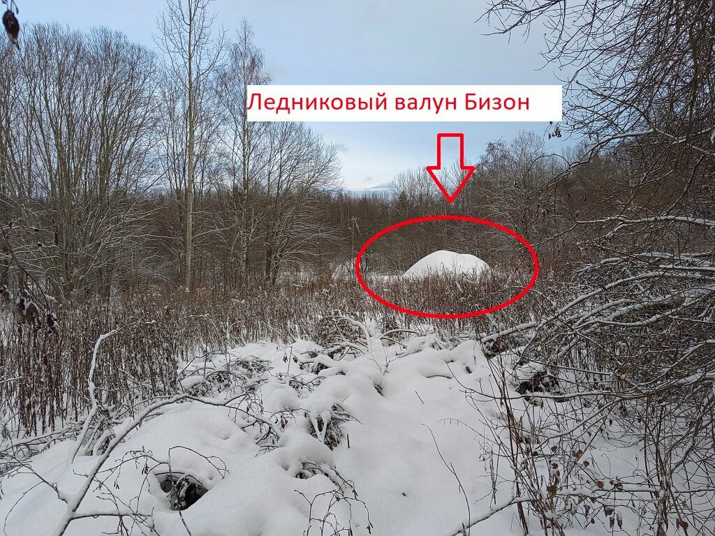 Turistik yerler Ледниковый валун Бизон, Lomonosov, foto