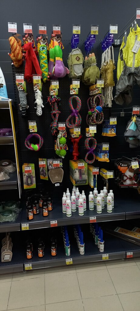 Petshop Lenta Zoomarket, Rostov‑na‑Donu, foto