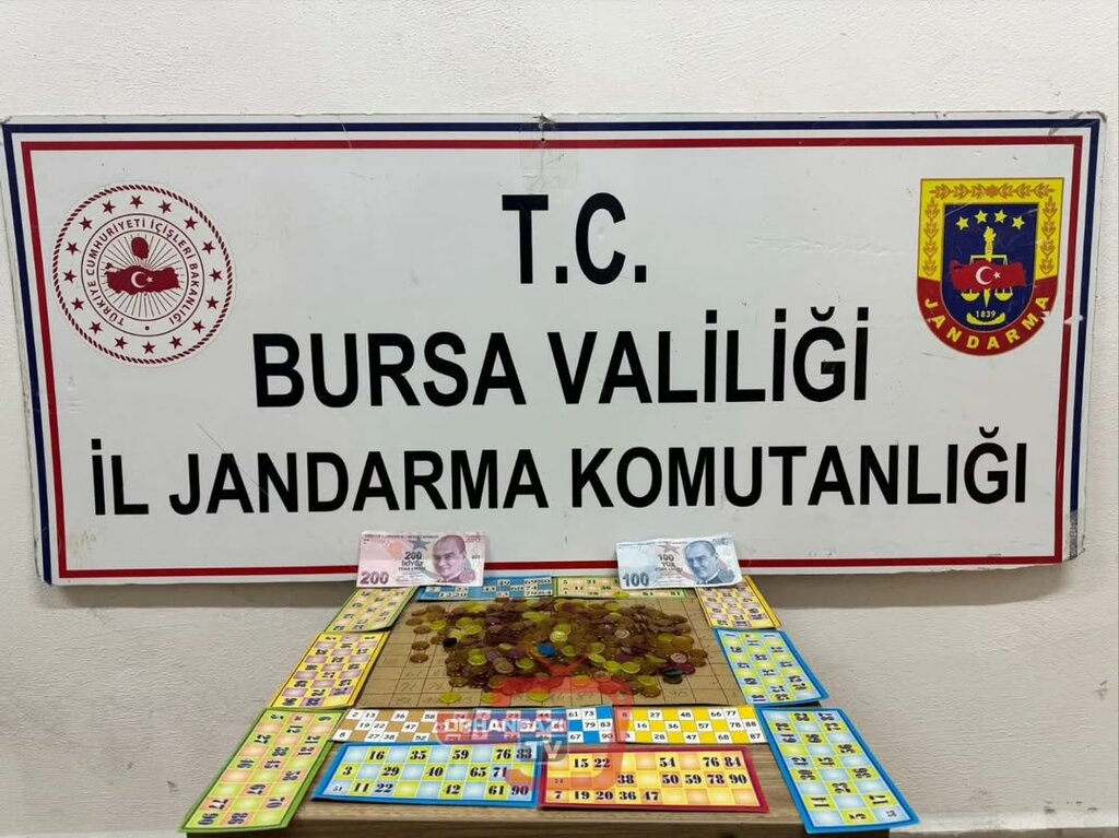 Üniversiteler Uludağ Üniversitesi Orhangazi Meslek Yüksekokulu, Orhangazi, foto