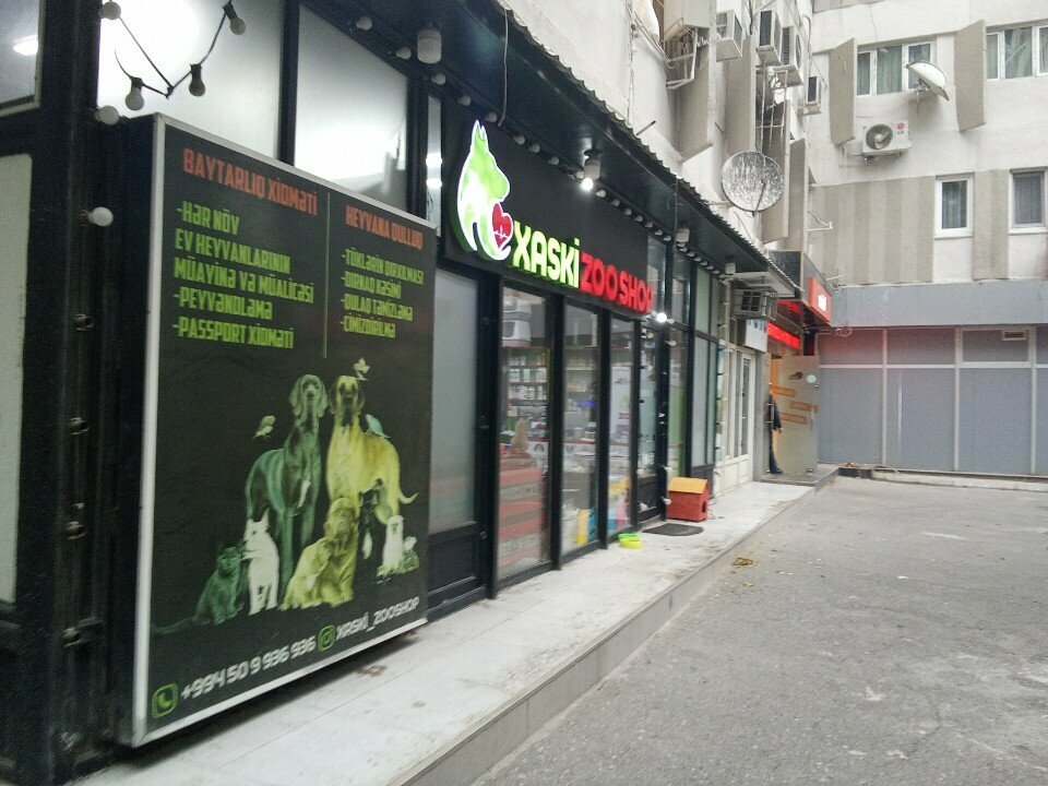 Petshop Xaski, Bakü, foto