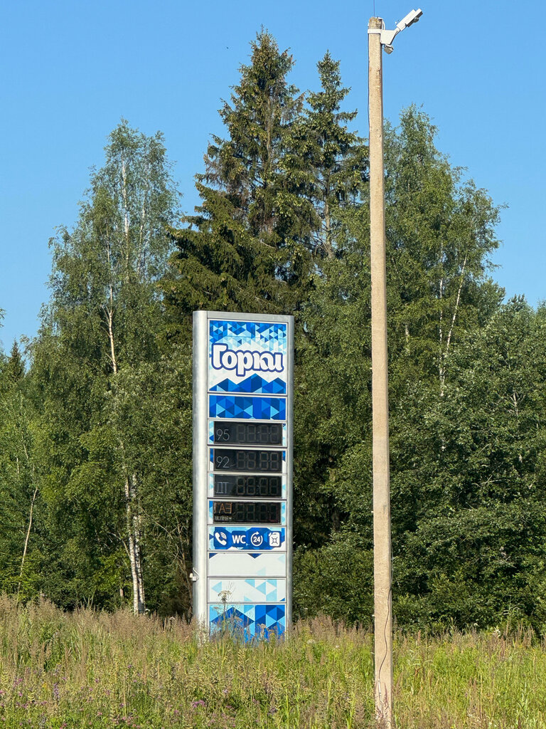 Benzin istasyonu Gas station, Yaroslavskaya oblastı, foto