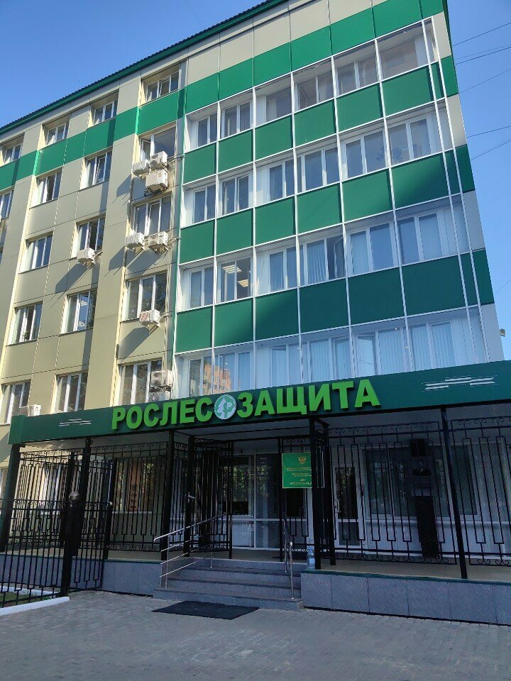 Orman işleri Российский центр Защиты Леса ФБУ, Puşkino, foto