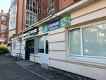 Salon krasoty dlya zhivotnykh Strizh (Dalnevostochnaya ulitsa No:154/1), evcil hayvan kuaförleri  Irkutsk'tan