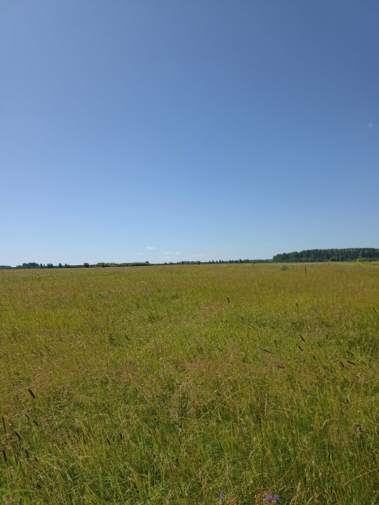 Ar-ge şirketleri Пасека УчХоз, Sverdlovskaya oblastı, foto