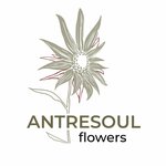 AntreSoul Flowers (Tosina Street No:6), çiçekçiler  Saint‑Petersburg'dan