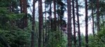 Зеленогорский (Primorskoye Highway No:520), resort oteller, tesisler  Zelenogorsk'tan