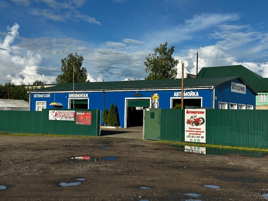 Oto lastik tamiri Шиномонтаж, Gorki, foto