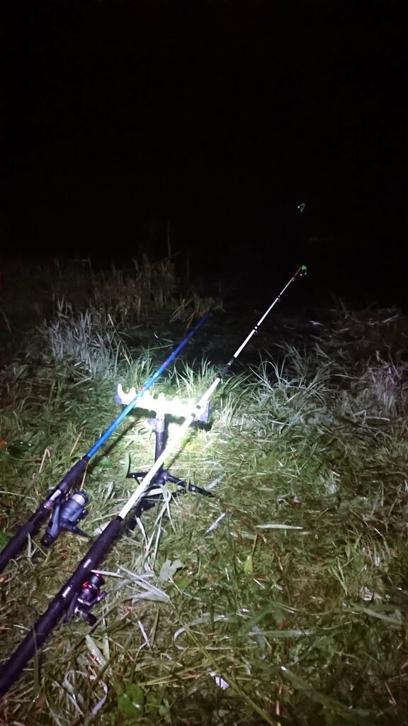 Plaj Пляж, Tverskaya oblastı, foto