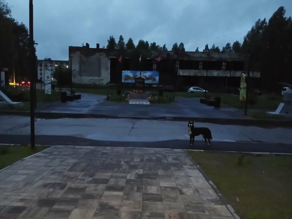 Anıt, heykel Воинам-землякам, погибшим в годы ВОВ, Niandoma, foto