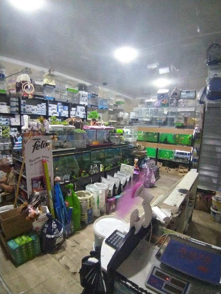 Petshop Zoomir, Nemengan, foto