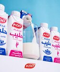 The Kuwaiti Danish Dairy Company, Warehouse (23, 57C Street, Industrial Area 3, Al Senaiyat, Sharjah), toptan süt ürünleri