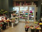 Камелия (Slantsevskoye shosse No:8), çiçekçiler  Slantsy'den