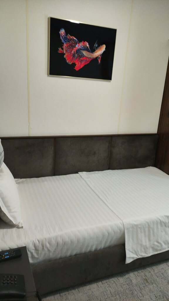 Otel Art Royal Hotel, Taşkent, foto