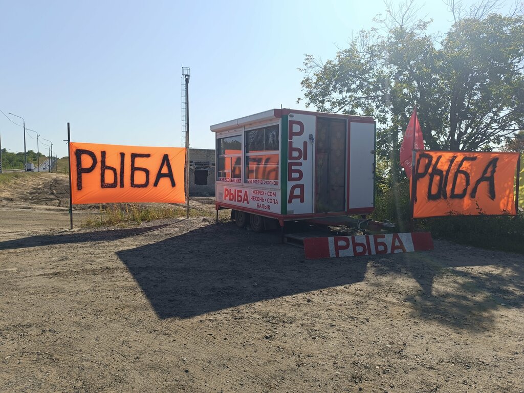 Balık ve deniz ürünleri Волжская рыба у Сереги, Samarskaya oblastı, foto