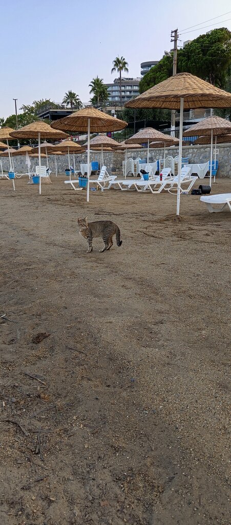 Plaj Yavansu Plajı, Kuşadası, foto