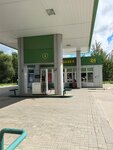 Azs (Zheleznodorozhnaya ulitsa No:57, rabochiy posyolok Novogurovskiy), benzin istasyonu  Tulskaya oblastından