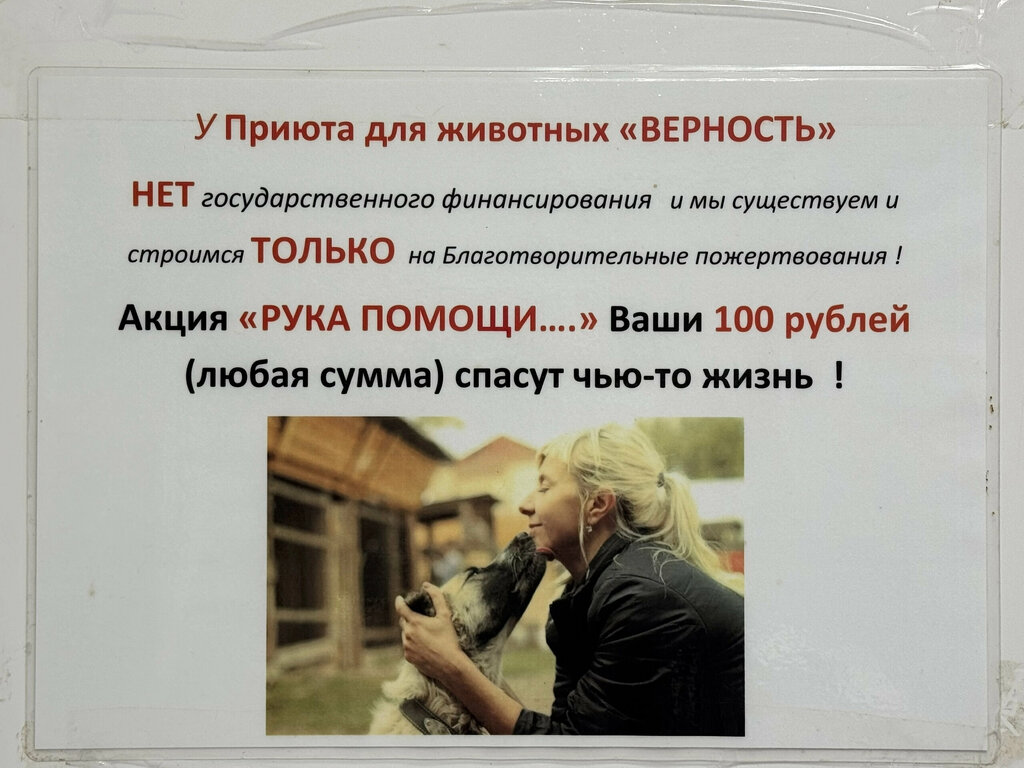 Hayvan barınakları, kulüpleri ve otelleri Верность, Alabuğa, foto