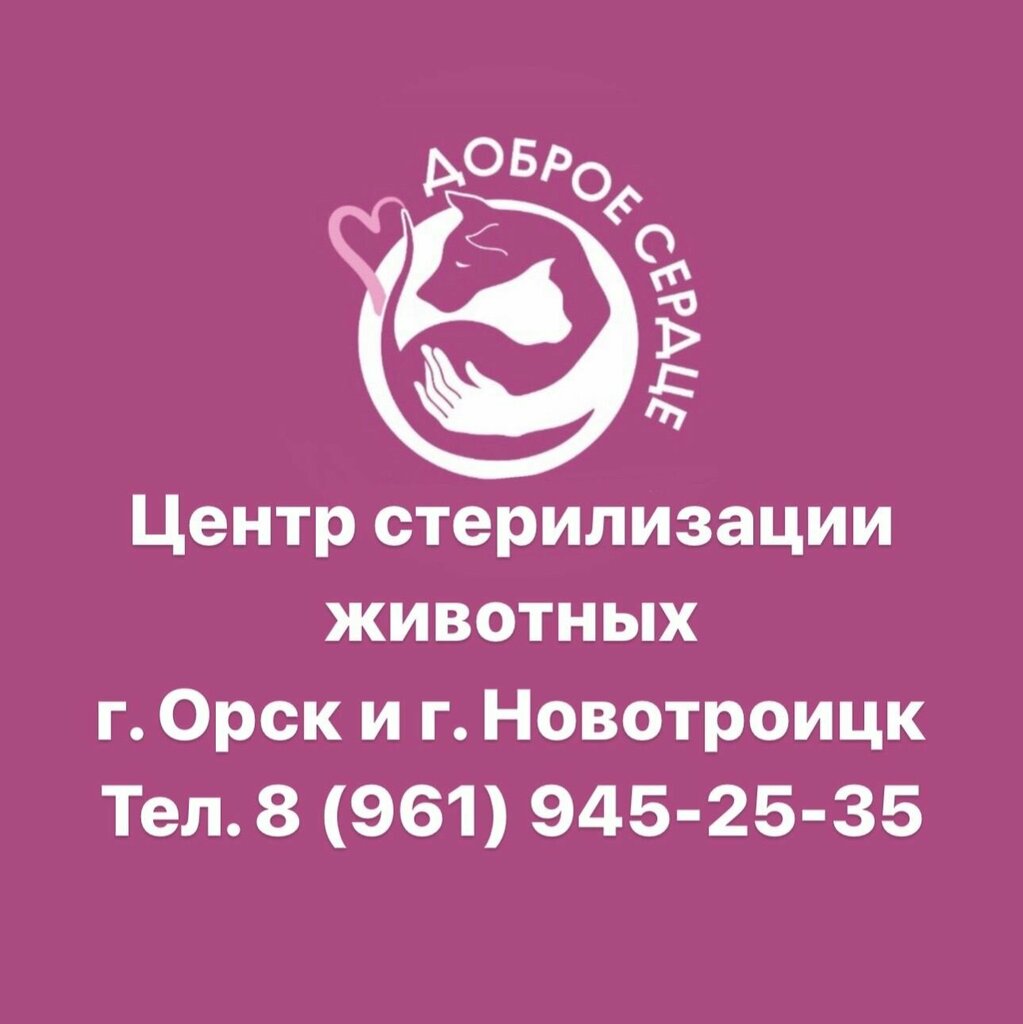 Veteriner klinikleri Animal Sterilization Center, Orsk, foto