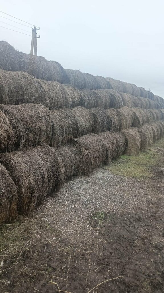 Tarım firmaları КФХ Наумов А.Е., Başkurdistan, foto