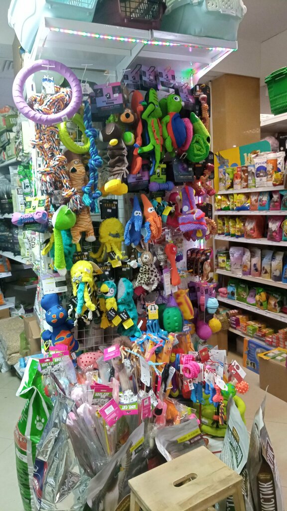 Petshop Синяя кошка, Krasnoarmeysk, foto